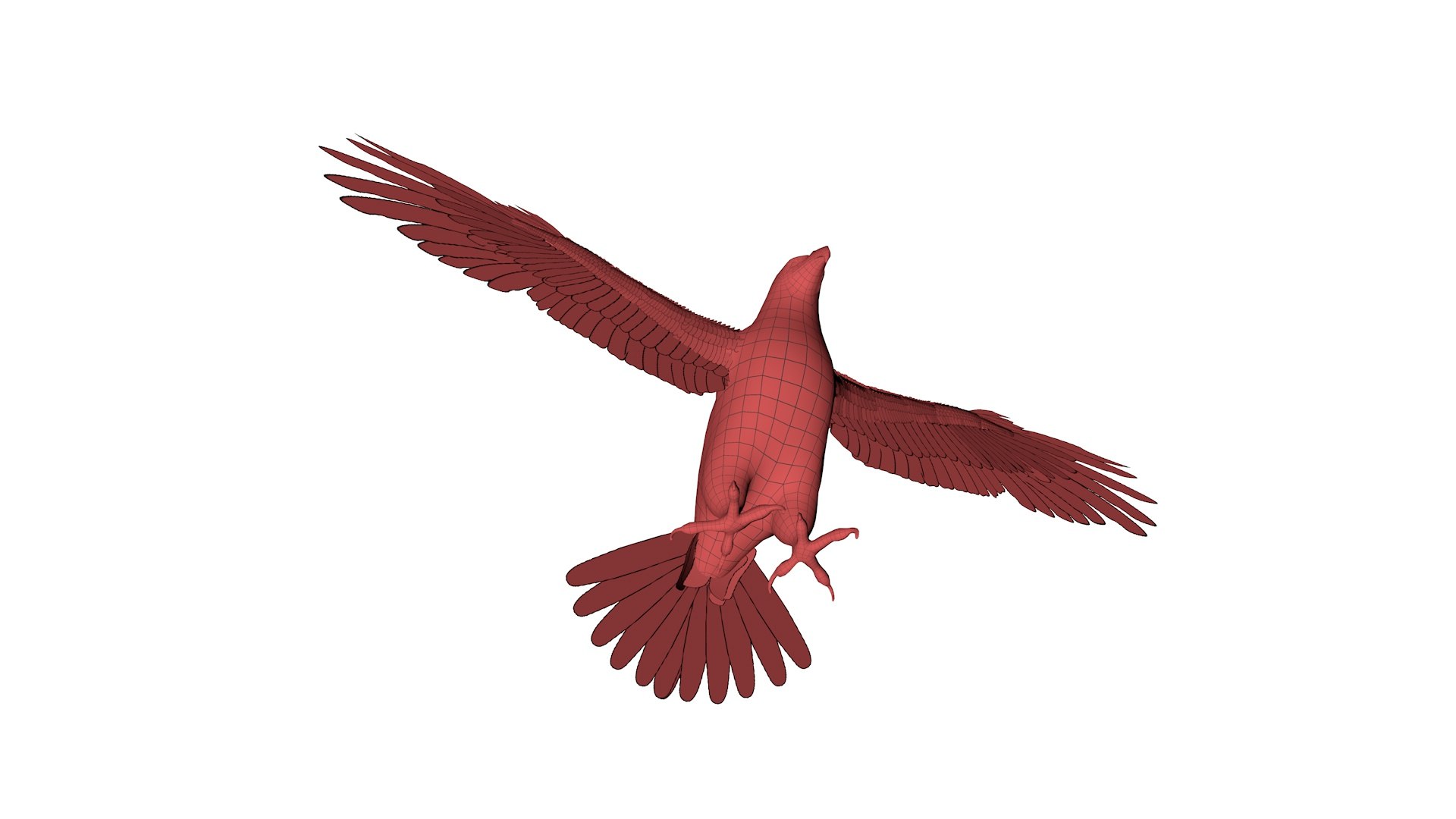 Mesh Eagle 3D Model - TurboSquid 1659631