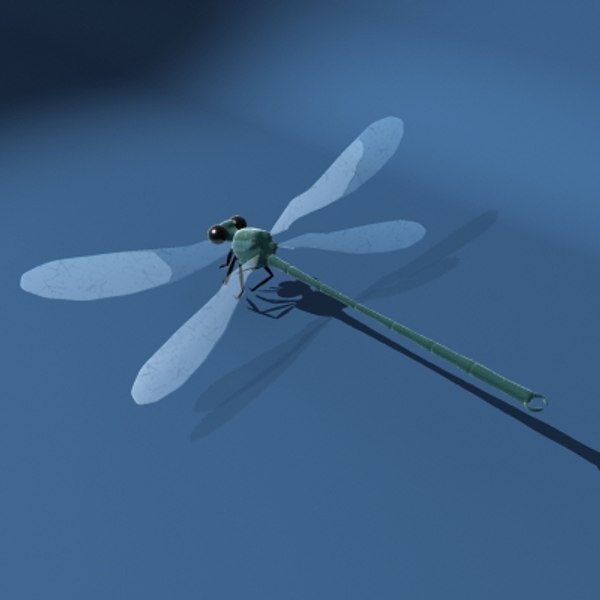 3d dragon fly model