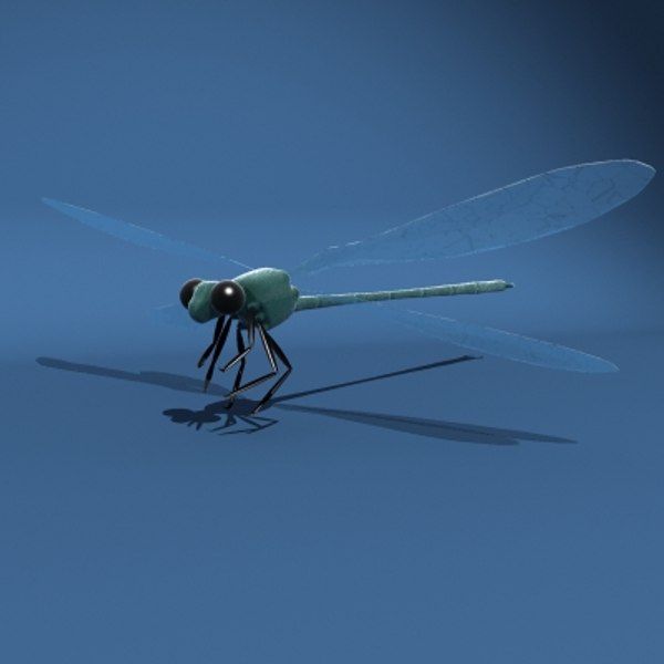 3d dragon fly model