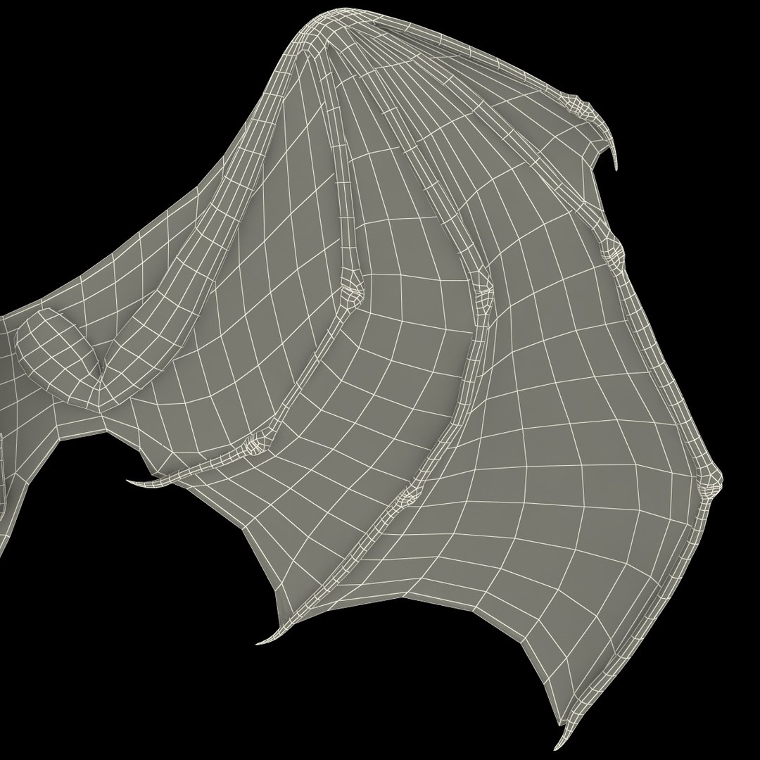 Obj Costume Bat Wings