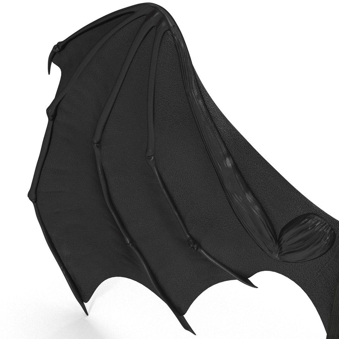 Obj Costume Bat Wings