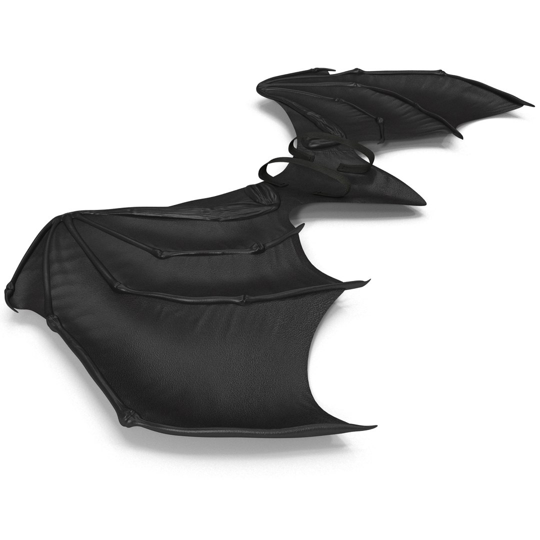 Obj Costume Bat Wings