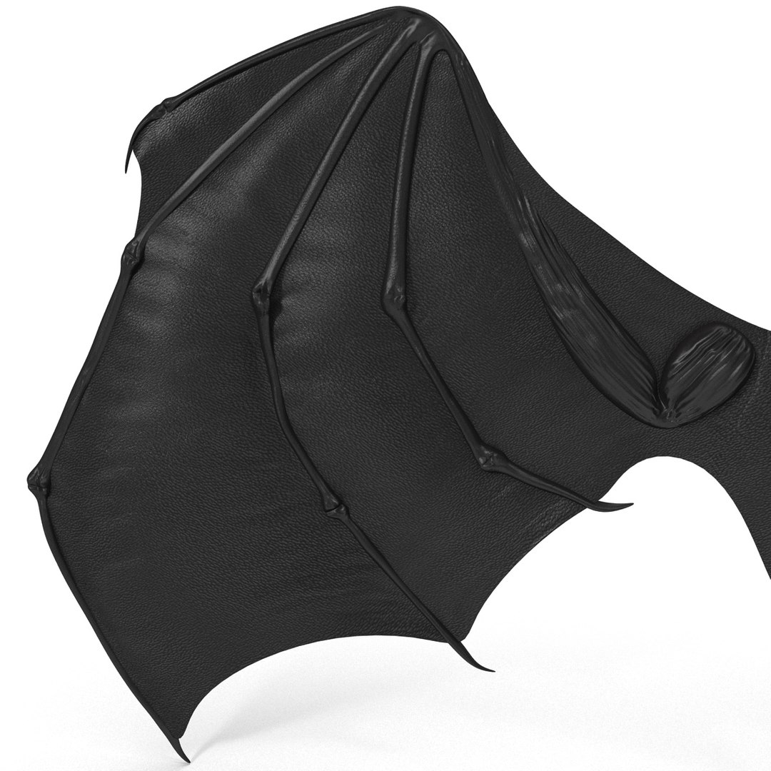 Obj Costume Bat Wings