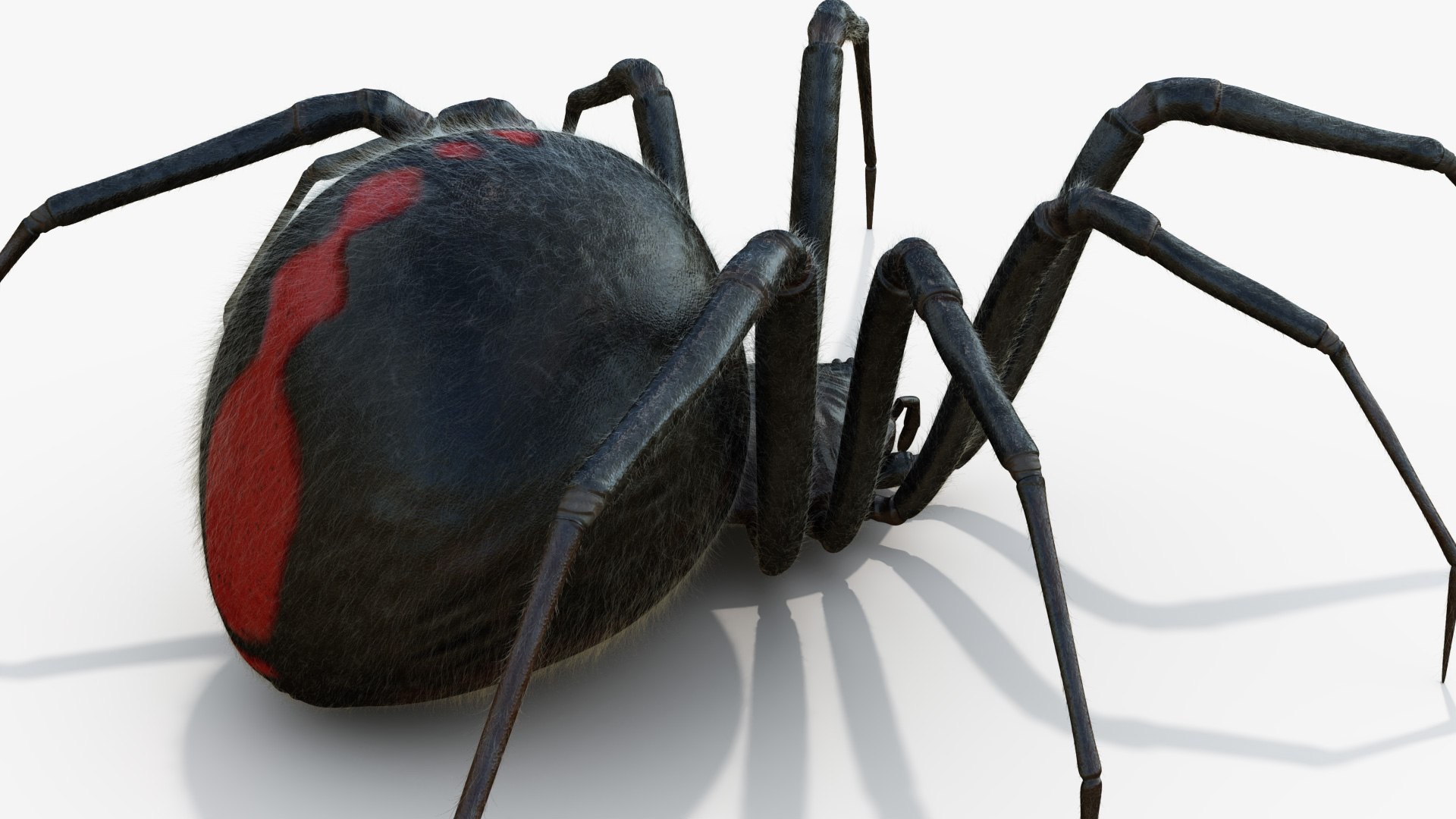 3D Black Widow Rigged Animated 8K PBR Textures - TurboSquid 1936682