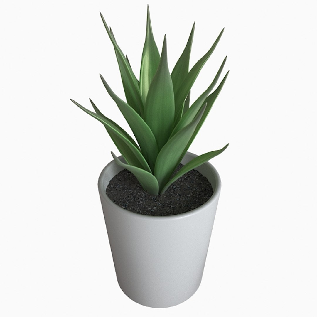 Fejka Potted Plant Model - TurboSquid 1382015