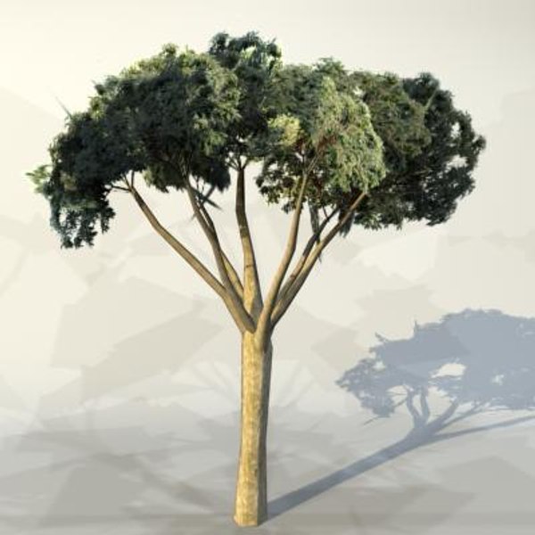 max pc tree