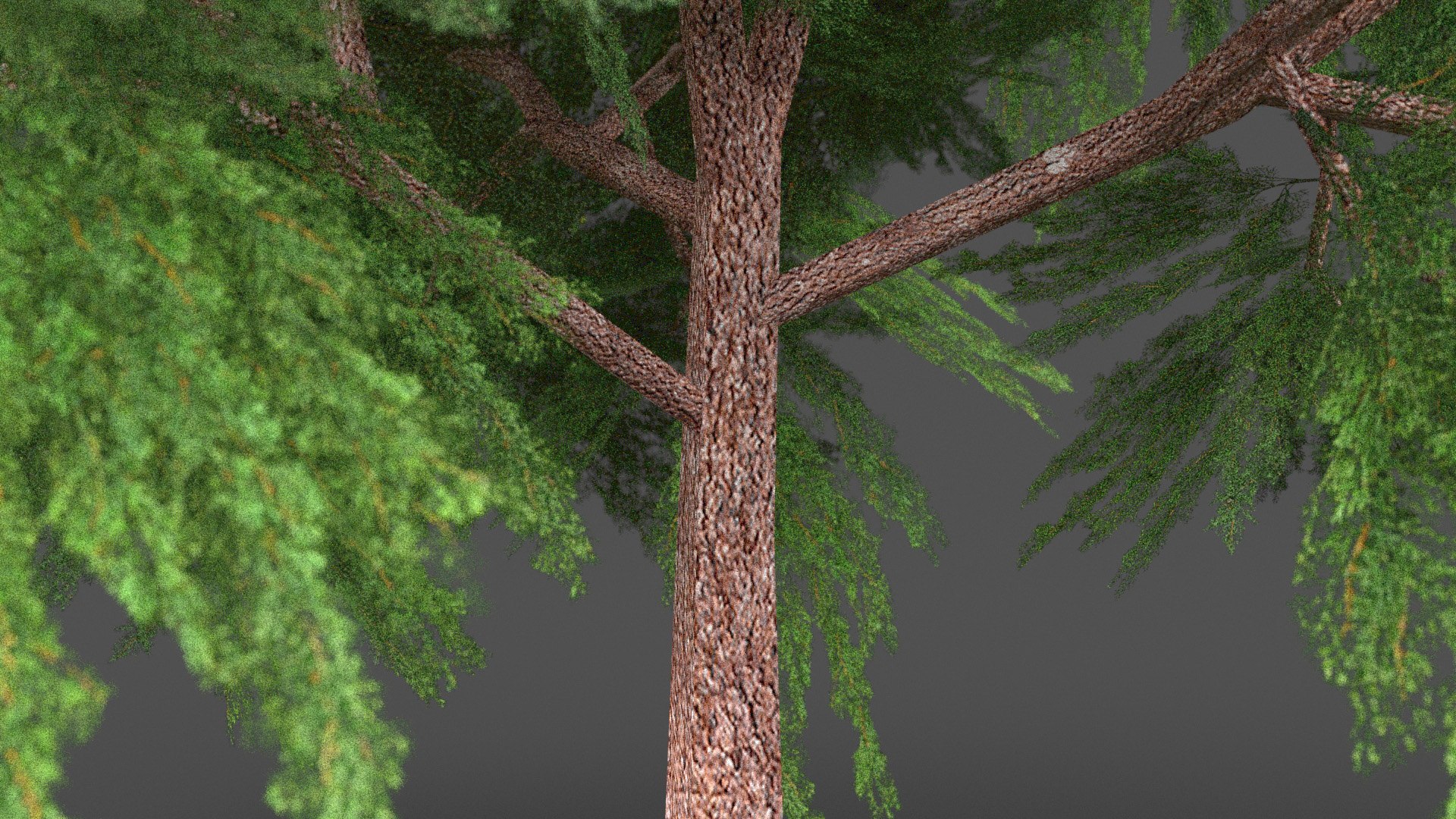 3D Model Common Juniper - TurboSquid 1783554