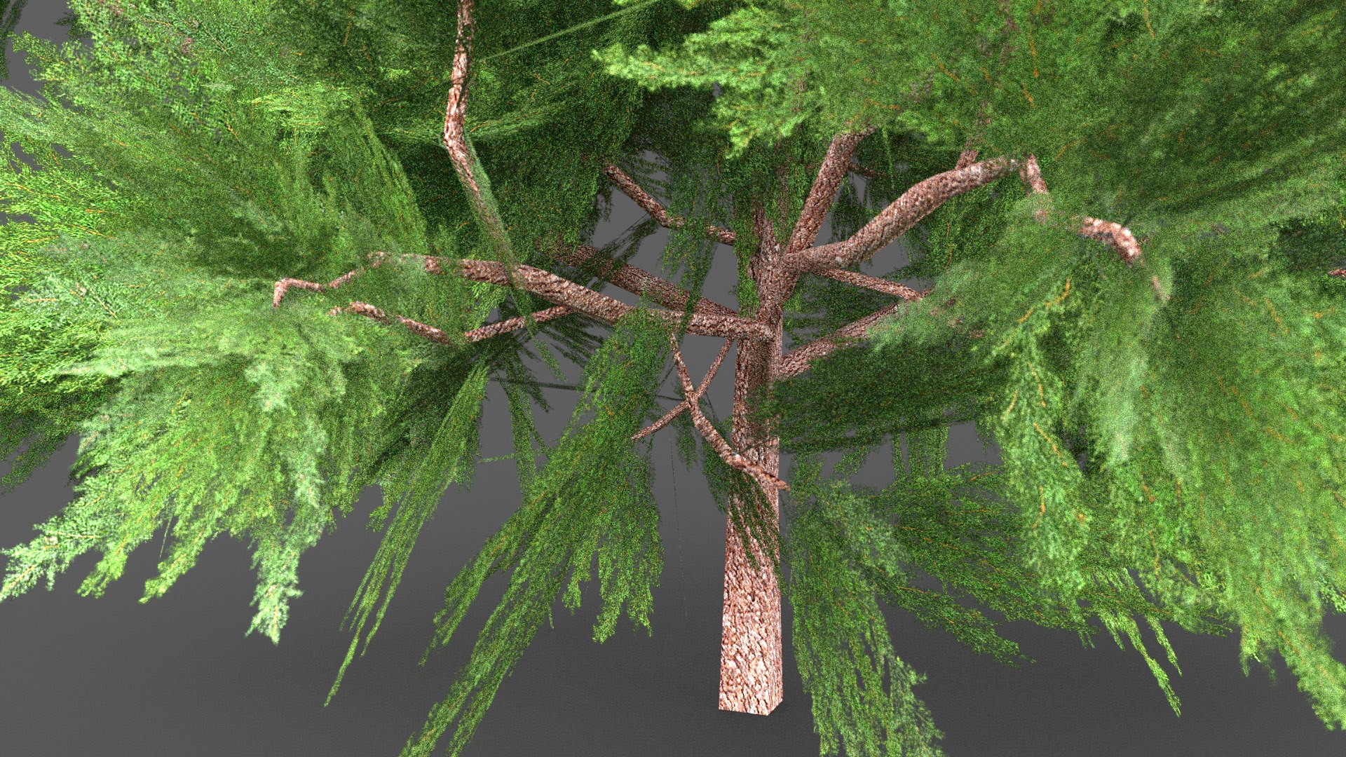3D Model Common Juniper - TurboSquid 1783554