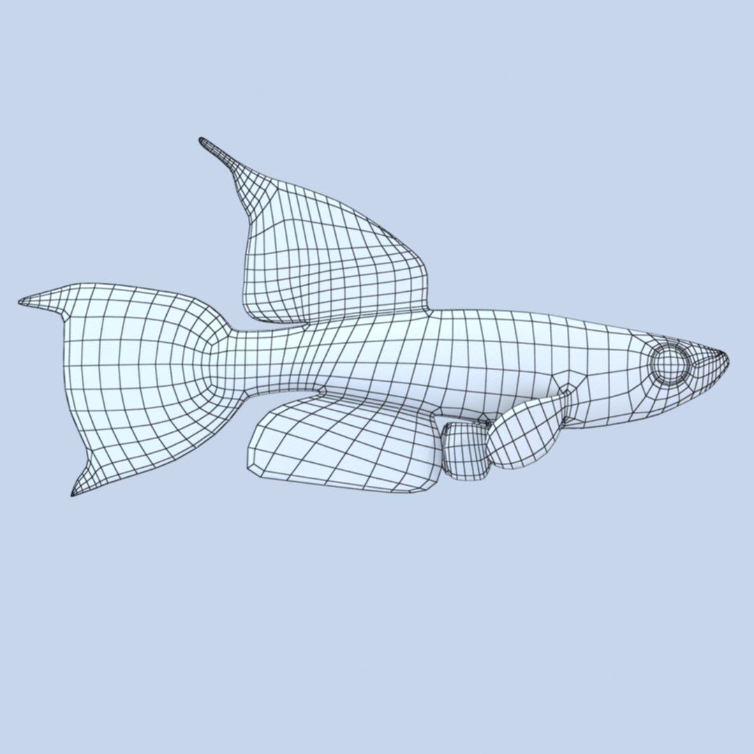 freshwater tropical fish 3d model