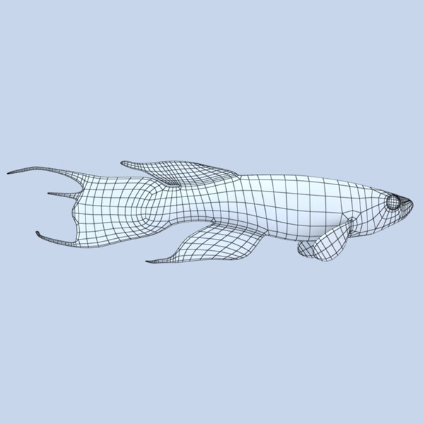 freshwater tropical fish 3d model