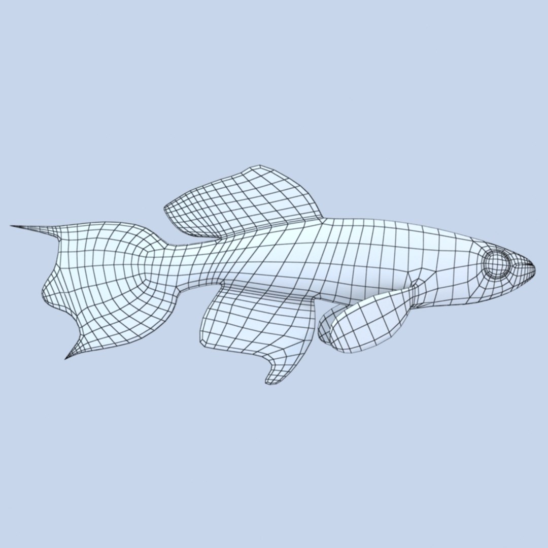 freshwater tropical fish 3d model