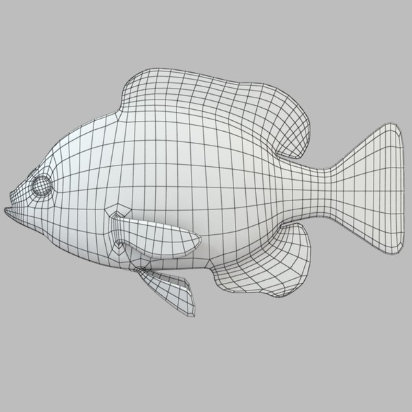 freshwater tropical fish 3d model