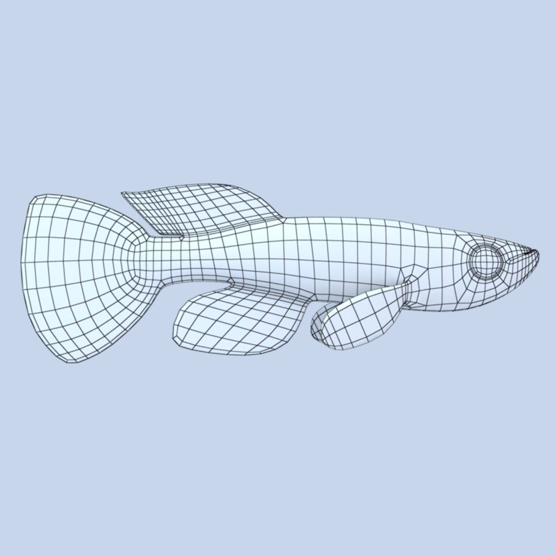 freshwater tropical fish 3d model