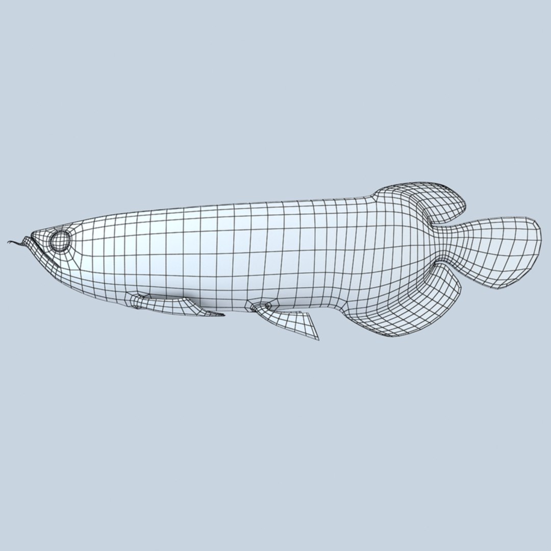 freshwater tropical fish 3d model
