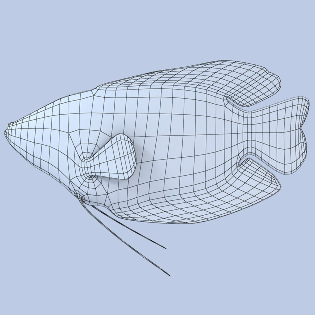 freshwater tropical fish 3d model