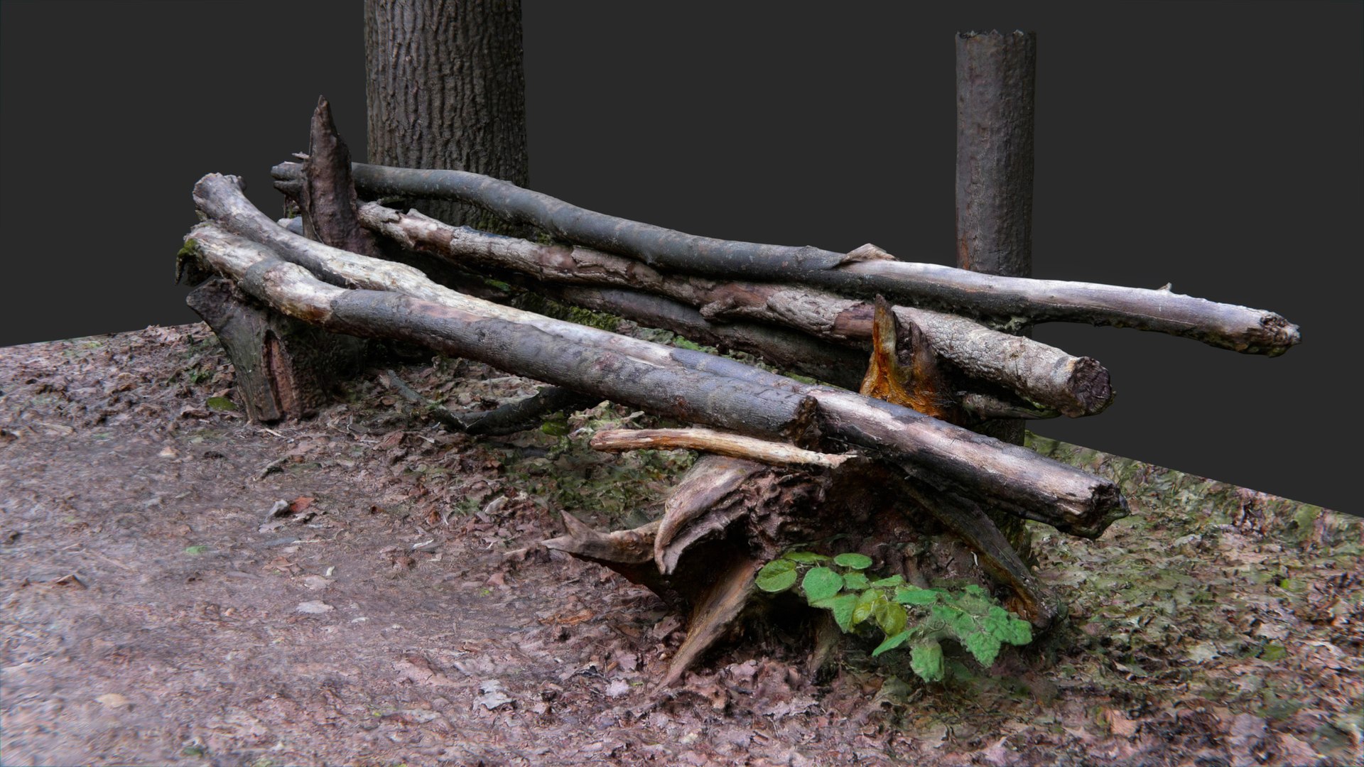 3D Bench Logs Forest - TurboSquid 1470039