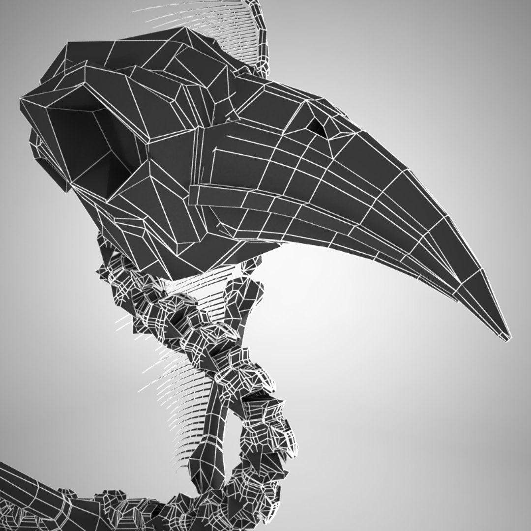 3d Model Bird Skeleton