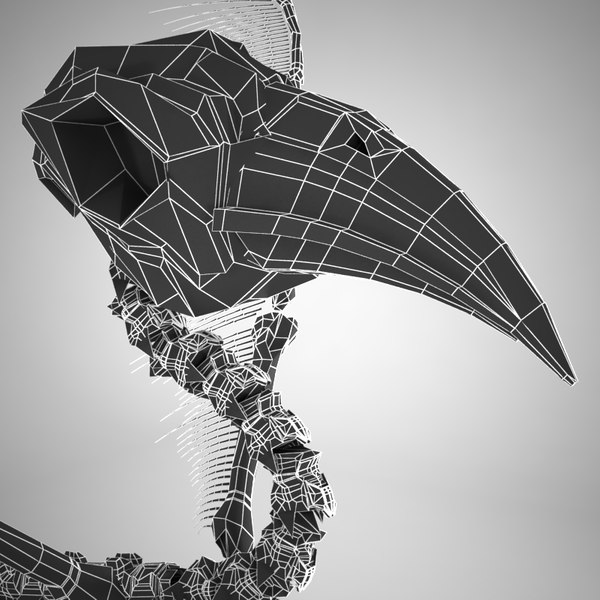 3d model bird skeleton