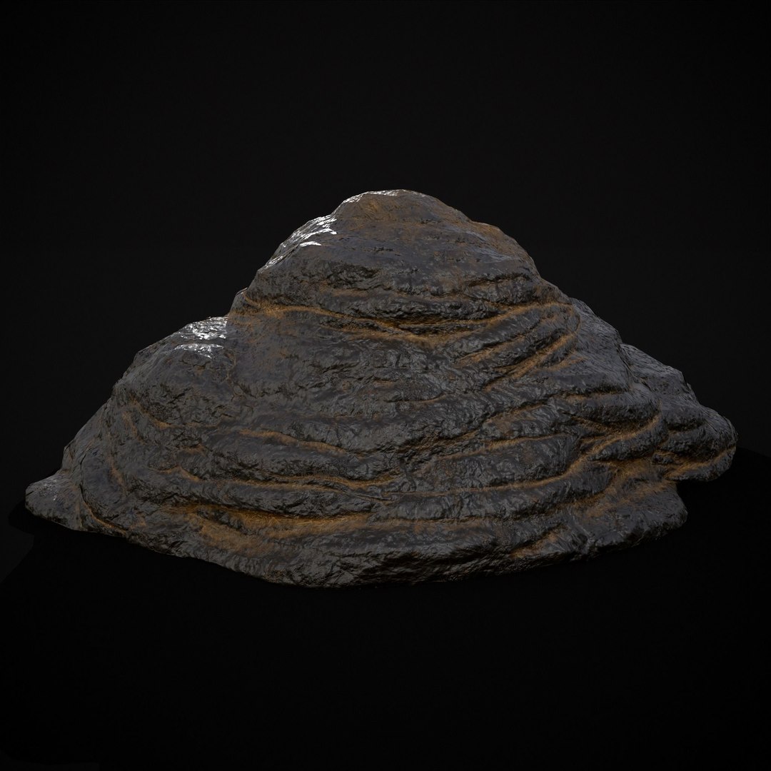 Cow Poop Model - TurboSquid 2185562