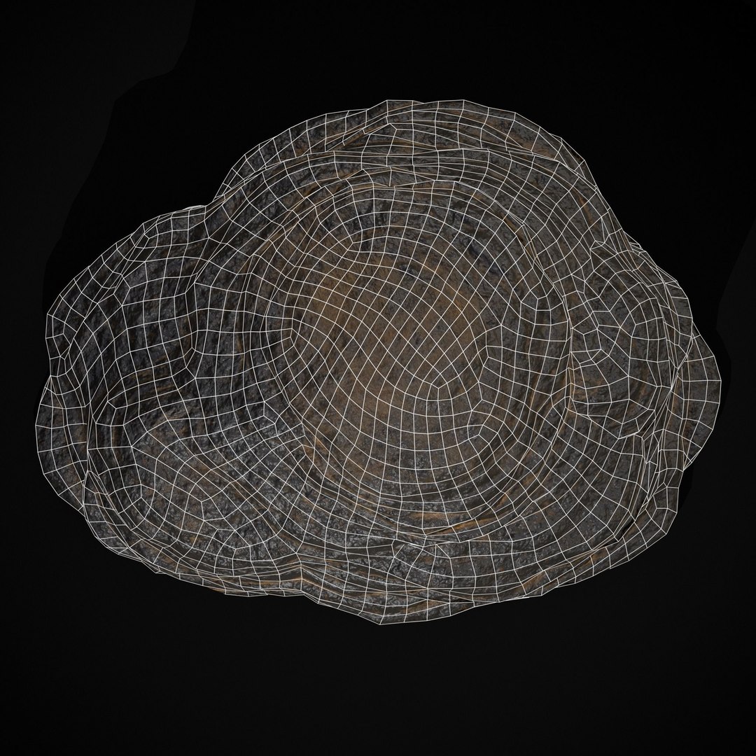 Cow Poop Model - TurboSquid 2185562