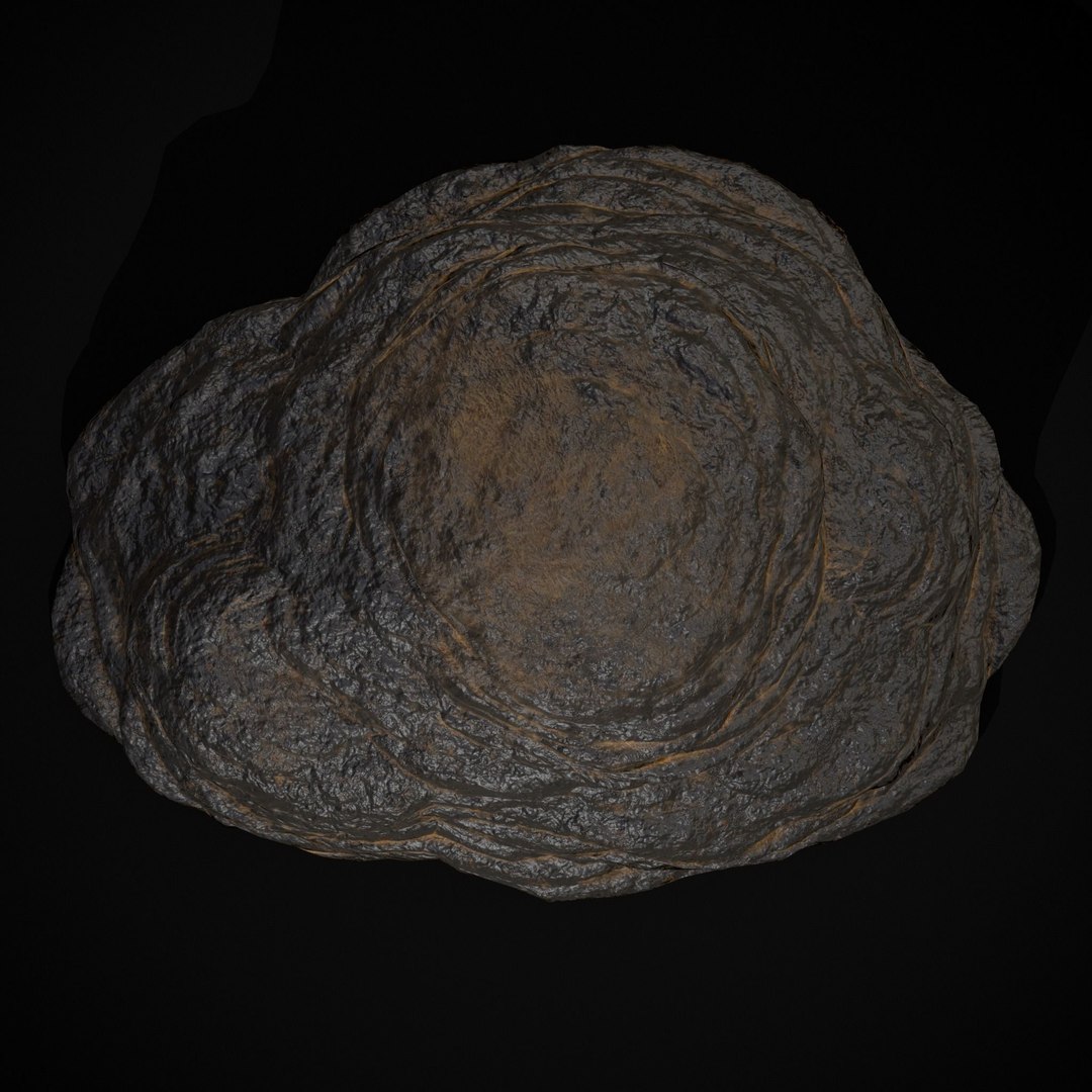 Cow Poop Model - TurboSquid 2185562