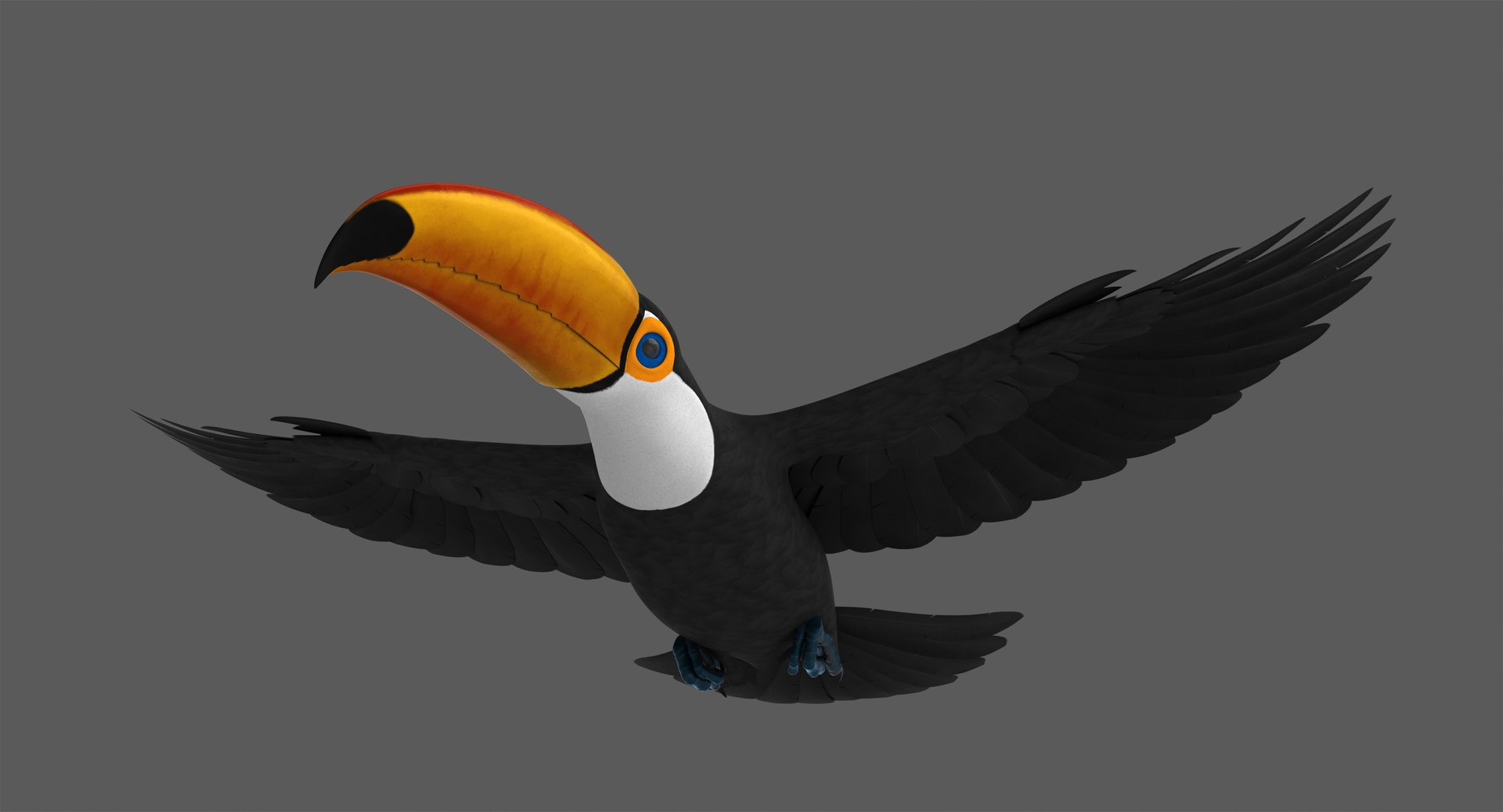 3D Rigged Toco Toucan Model - TurboSquid 1307214