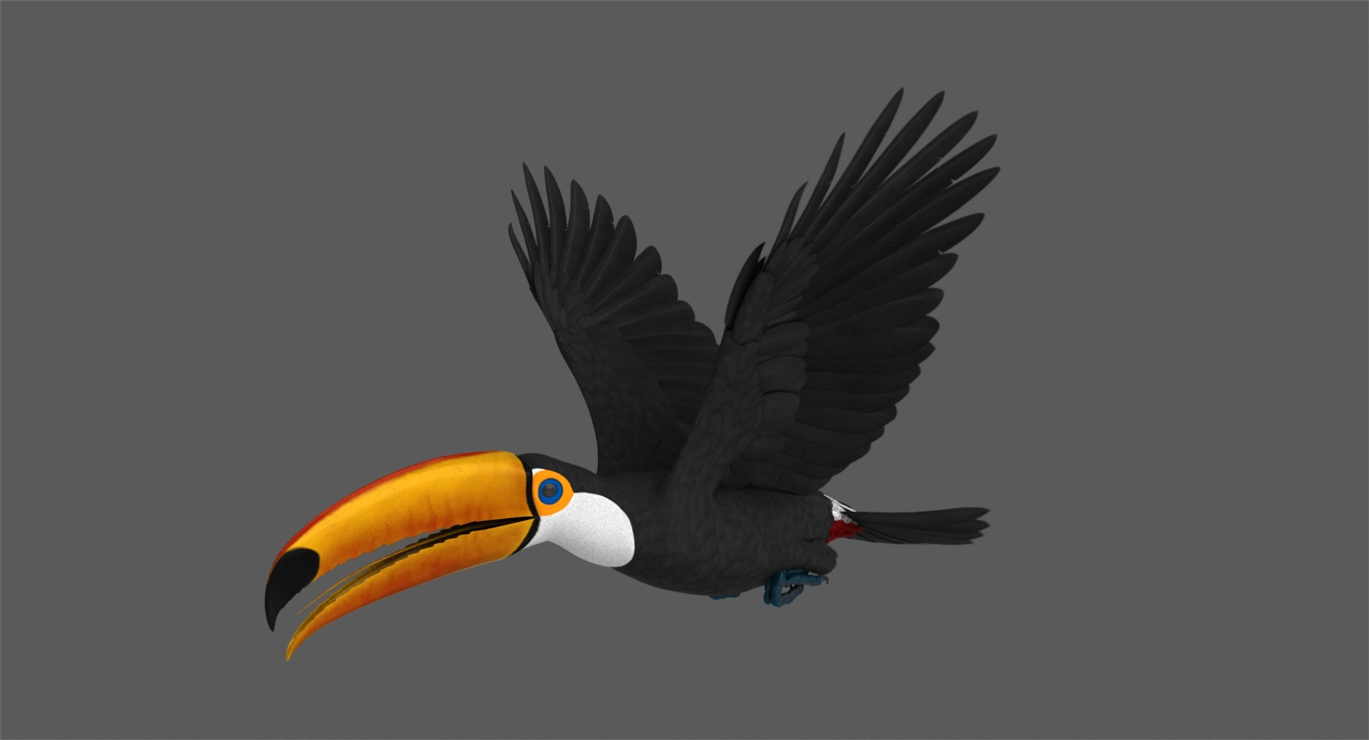 3D Rigged Toco Toucan Model - TurboSquid 1307214