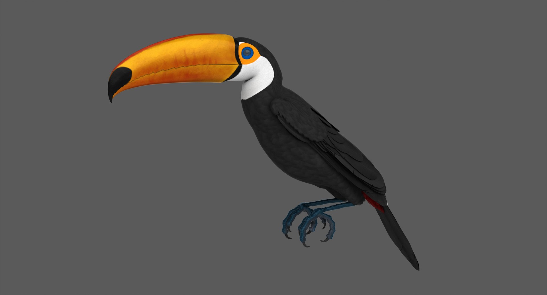 3D Rigged Toco Toucan Model - TurboSquid 1307214