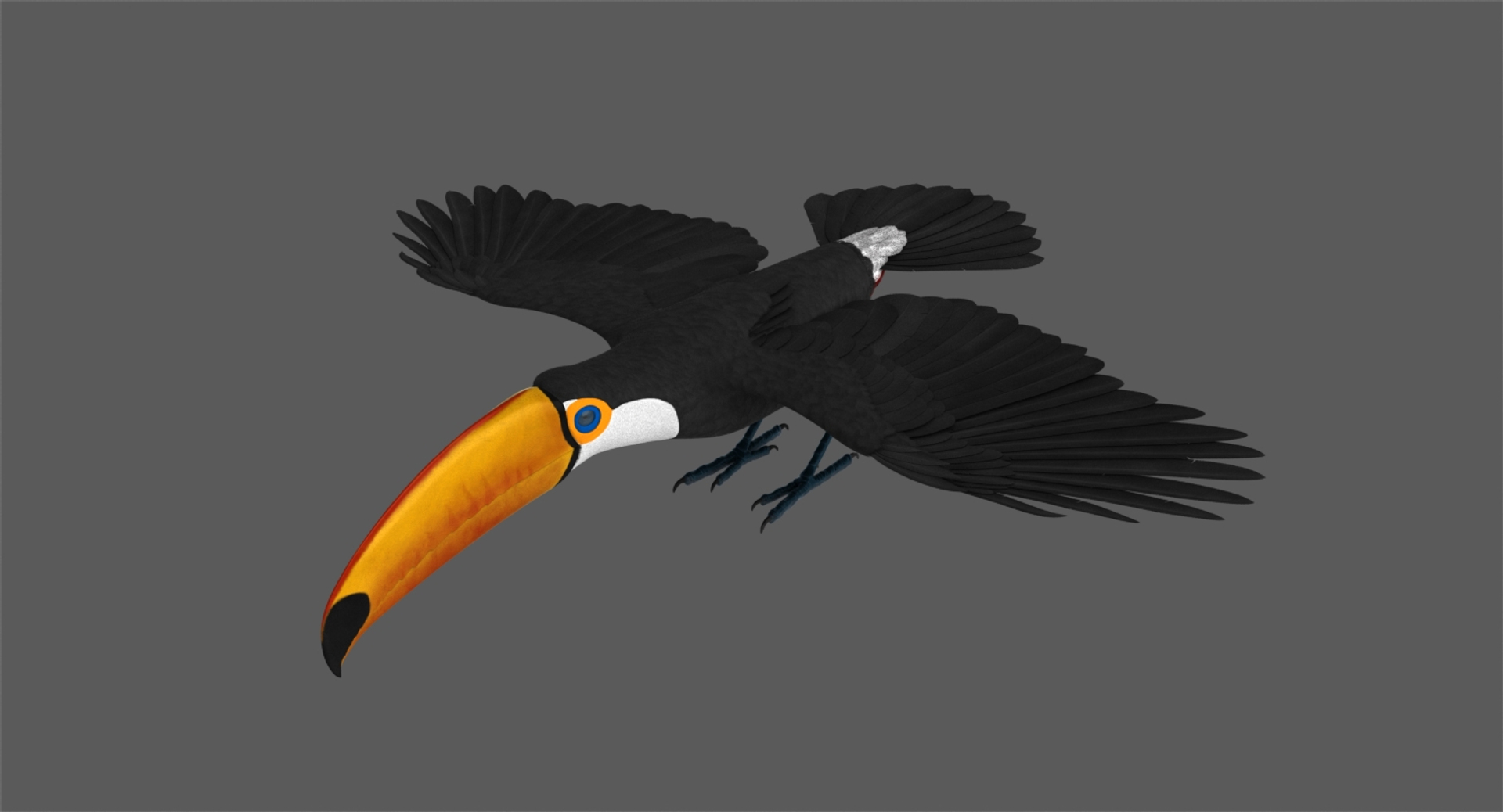 3D Rigged Toco Toucan Model - TurboSquid 1307214