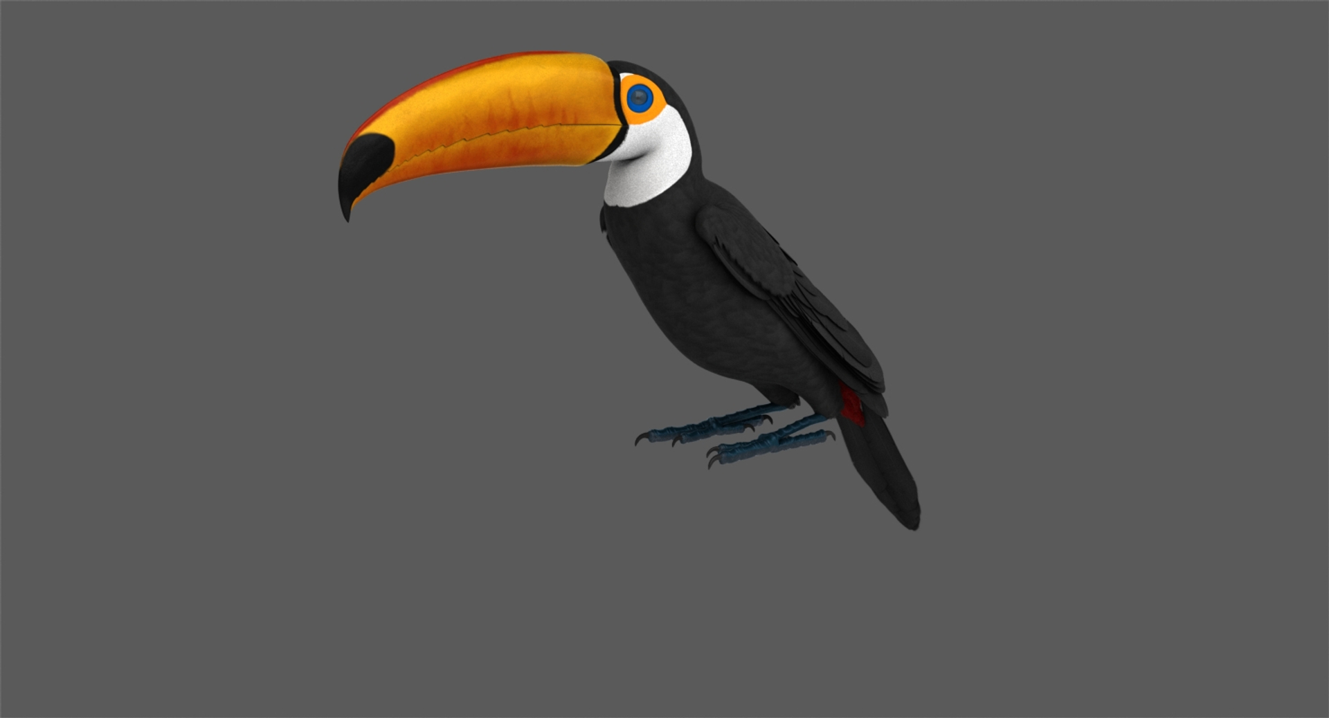 3D Rigged Toco Toucan Model - TurboSquid 1307214