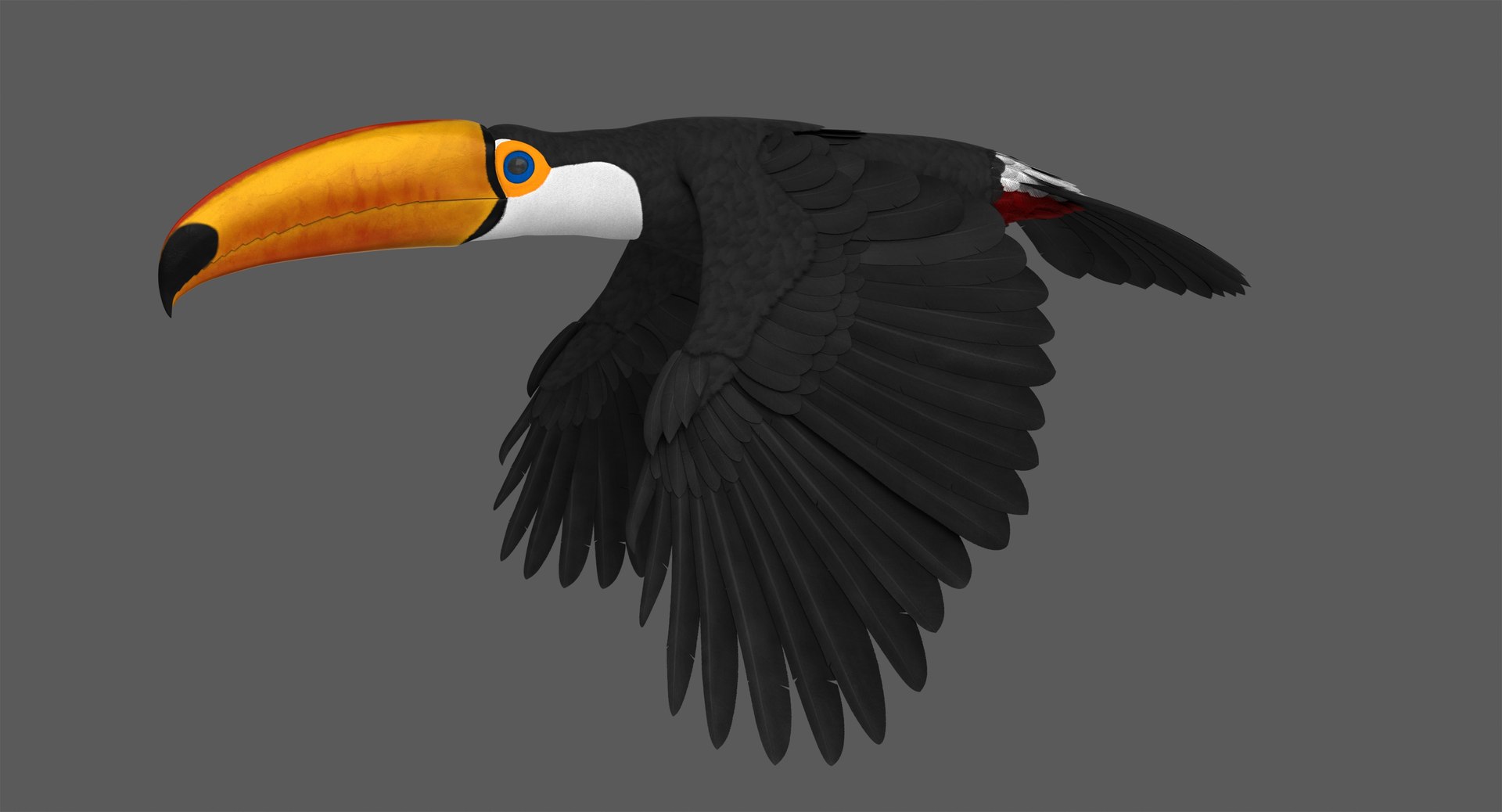 3D Rigged Toco Toucan Model - TurboSquid 1307214