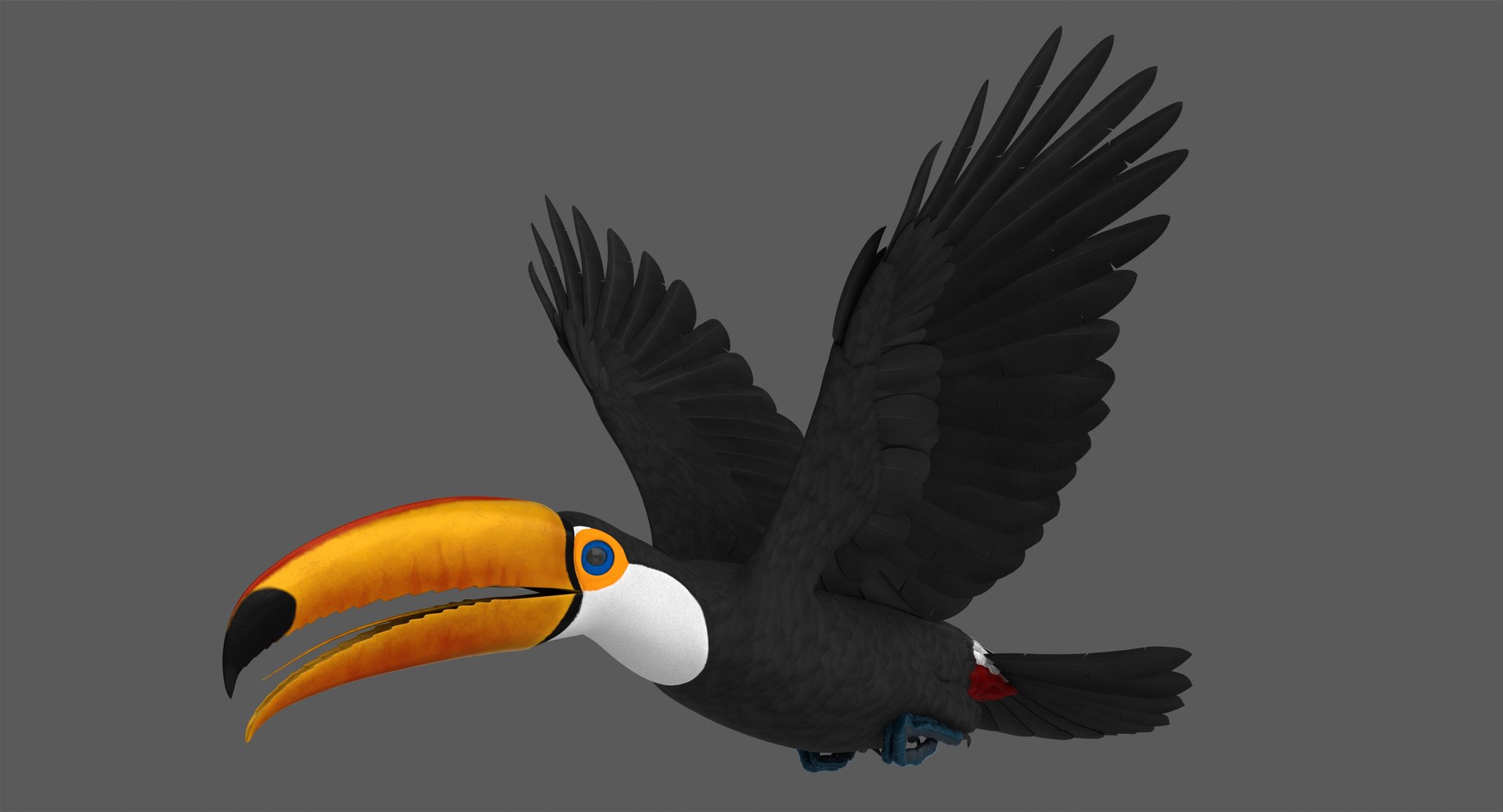 3D Rigged Toco Toucan Model - TurboSquid 1307214