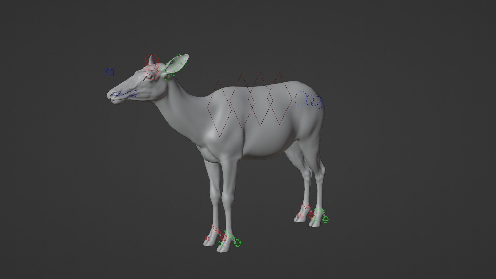 3D Female Canadian Deer Animation Model - TurboSquid 2079135