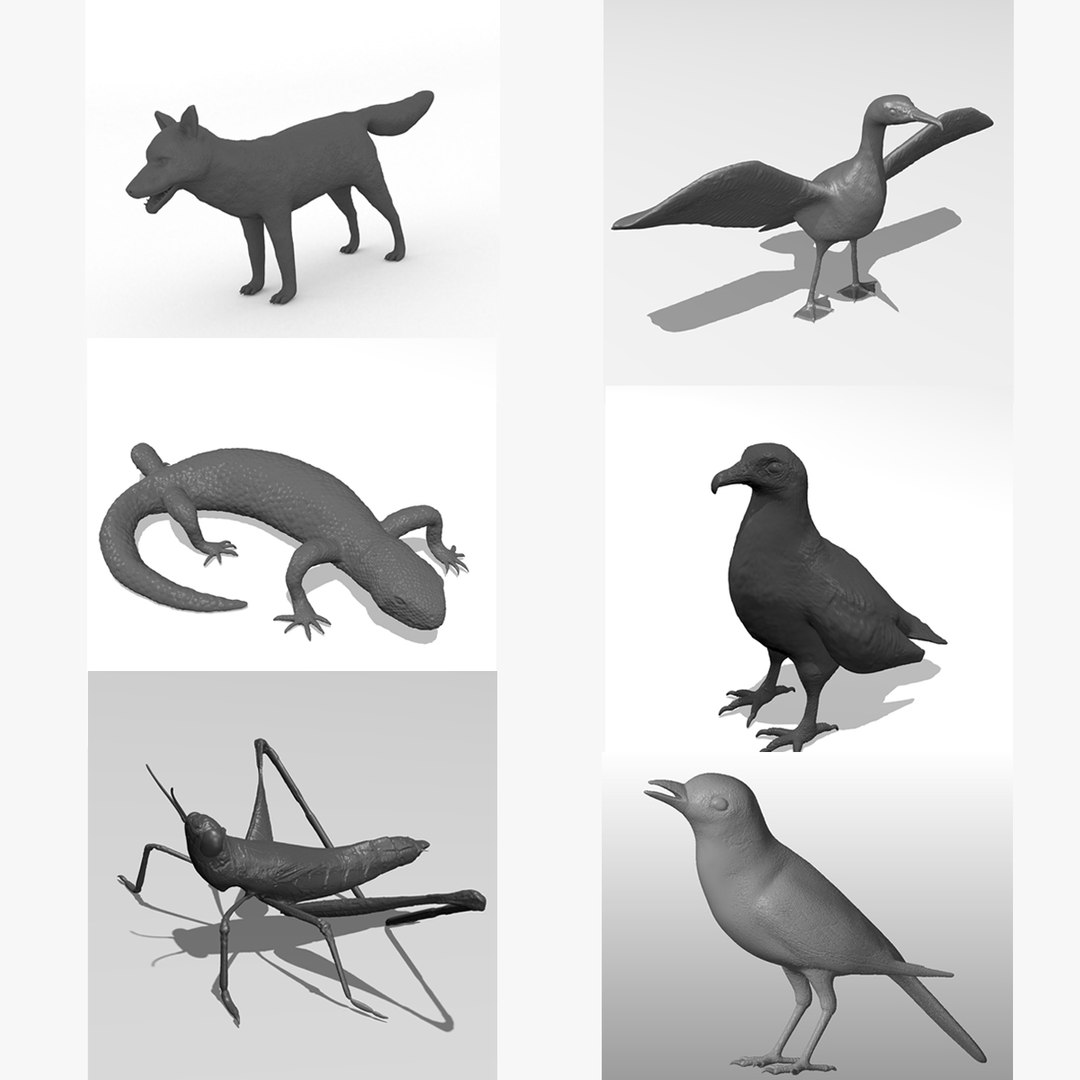 3D Printable Animals - TurboSquid 1723868