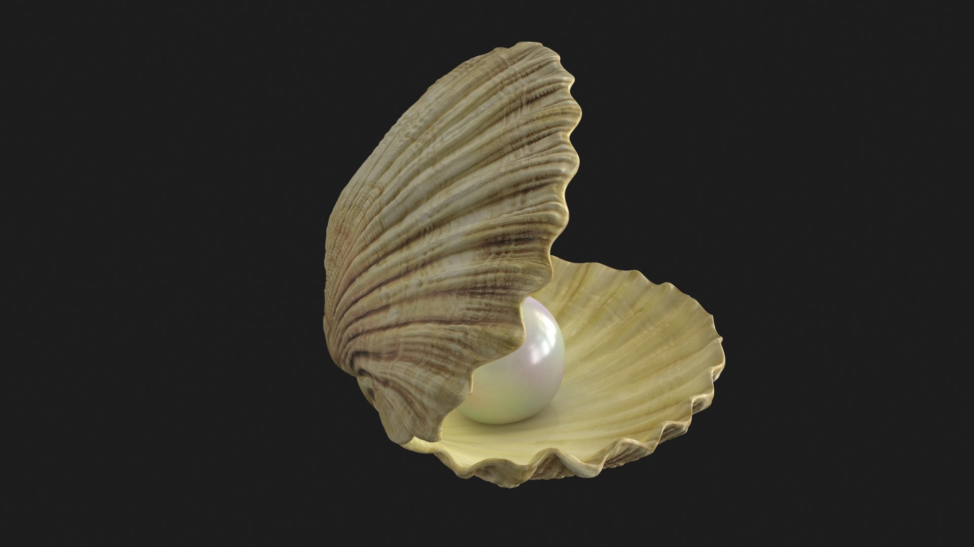 3D Sea Shell With Pearl - TurboSquid 2144431