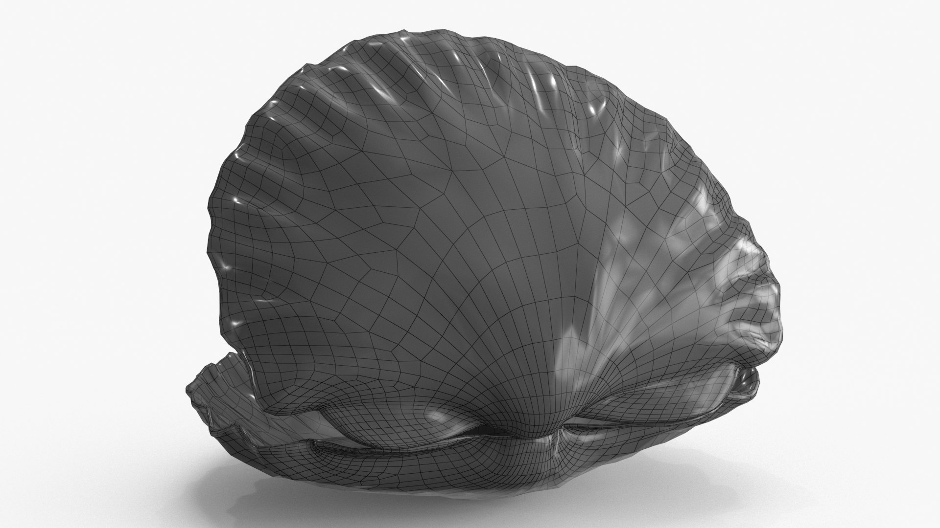 3D Sea Shell With Pearl - TurboSquid 2144431