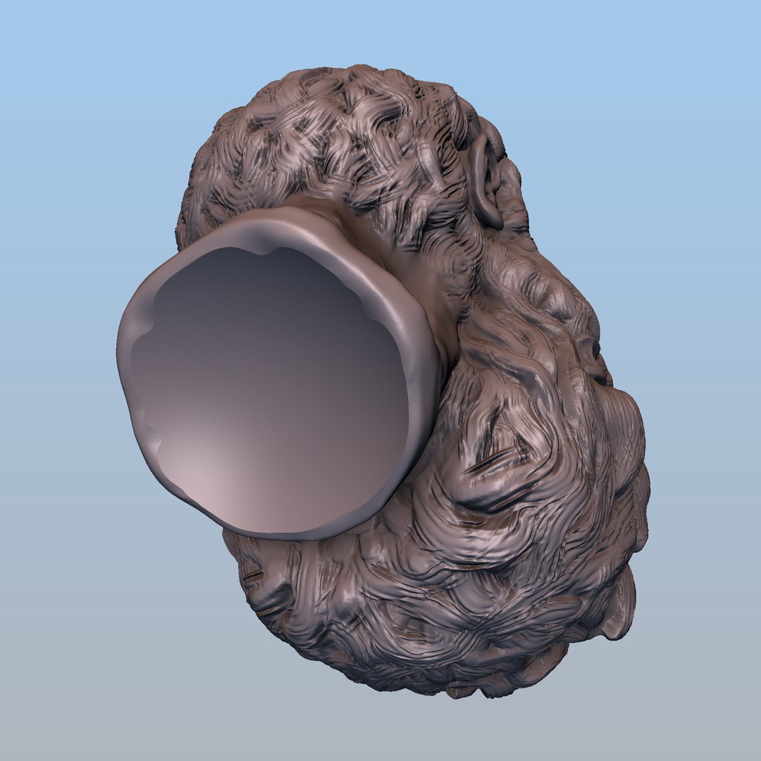 3D Dwarf Head 3D Print Ready Model - TurboSquid 1878087
