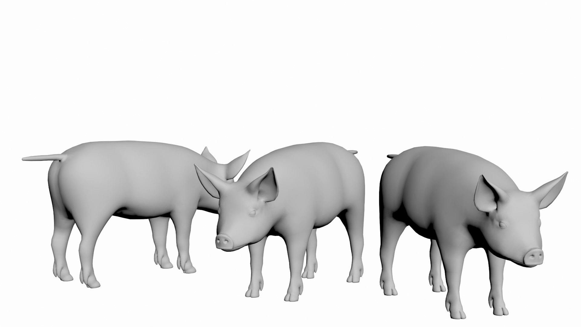 Piglet Pig 3D Model - TurboSquid 1763364