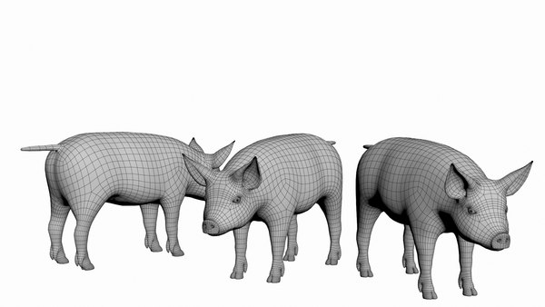 modelo 3d Cerdo lechón - TurboSquid 1763364