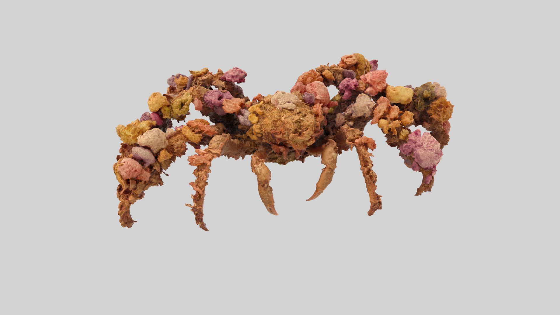 3D Spider Decorator Crab Scan - TurboSquid 1916522
