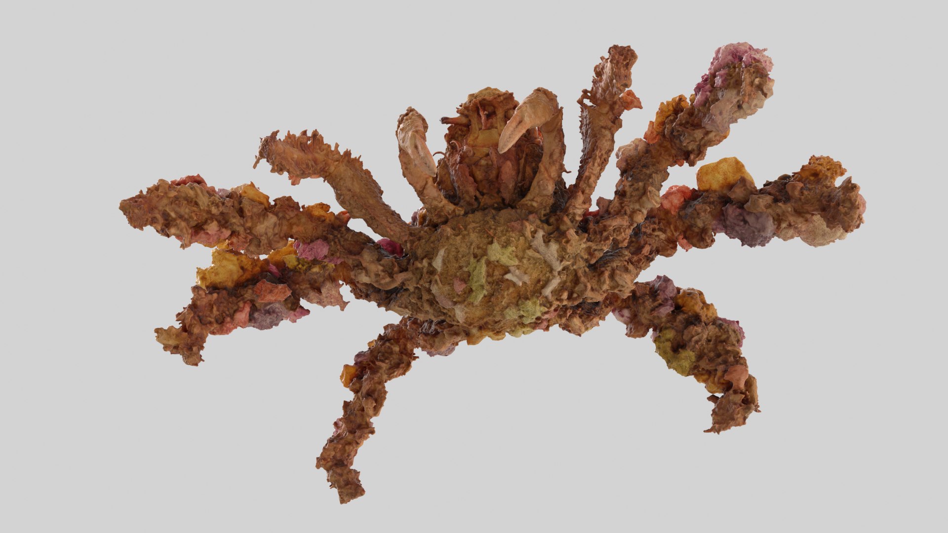 3D Spider Decorator Crab Scan - TurboSquid 1916522