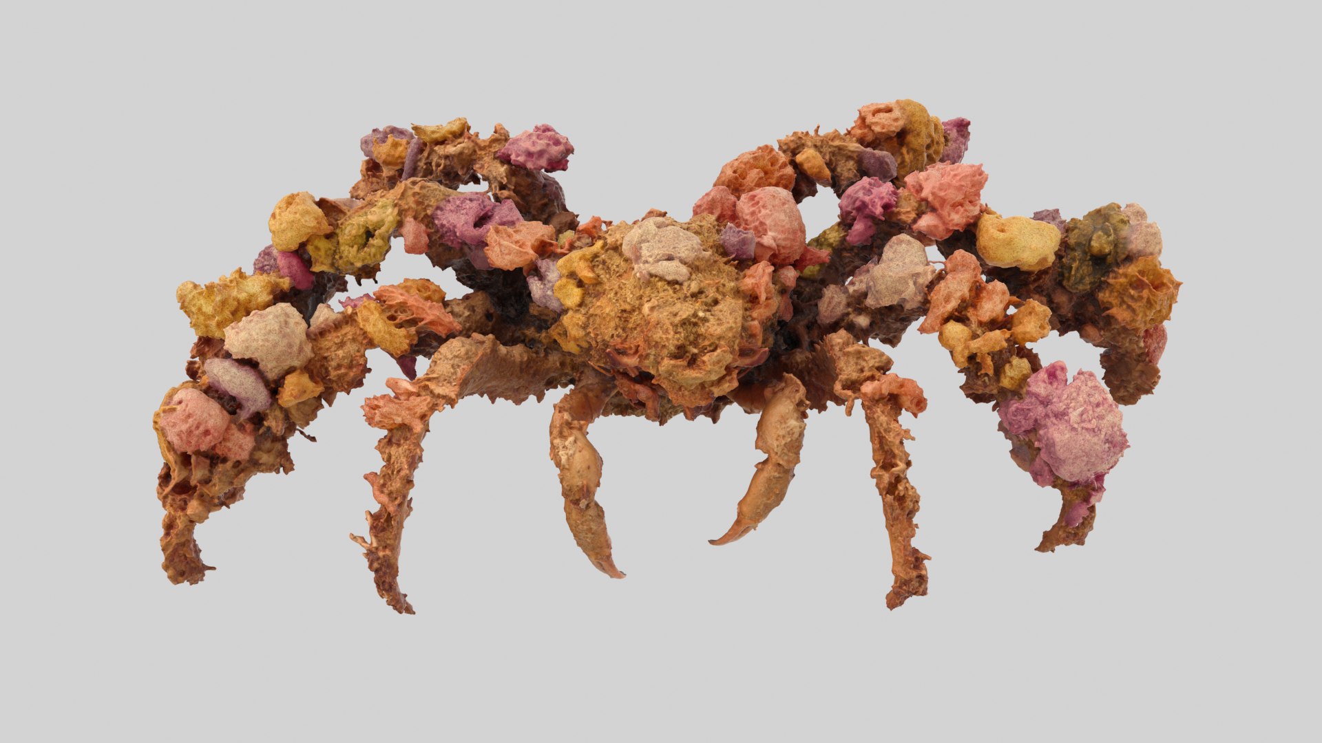 3D Spider Decorator Crab Scan - TurboSquid 1916522