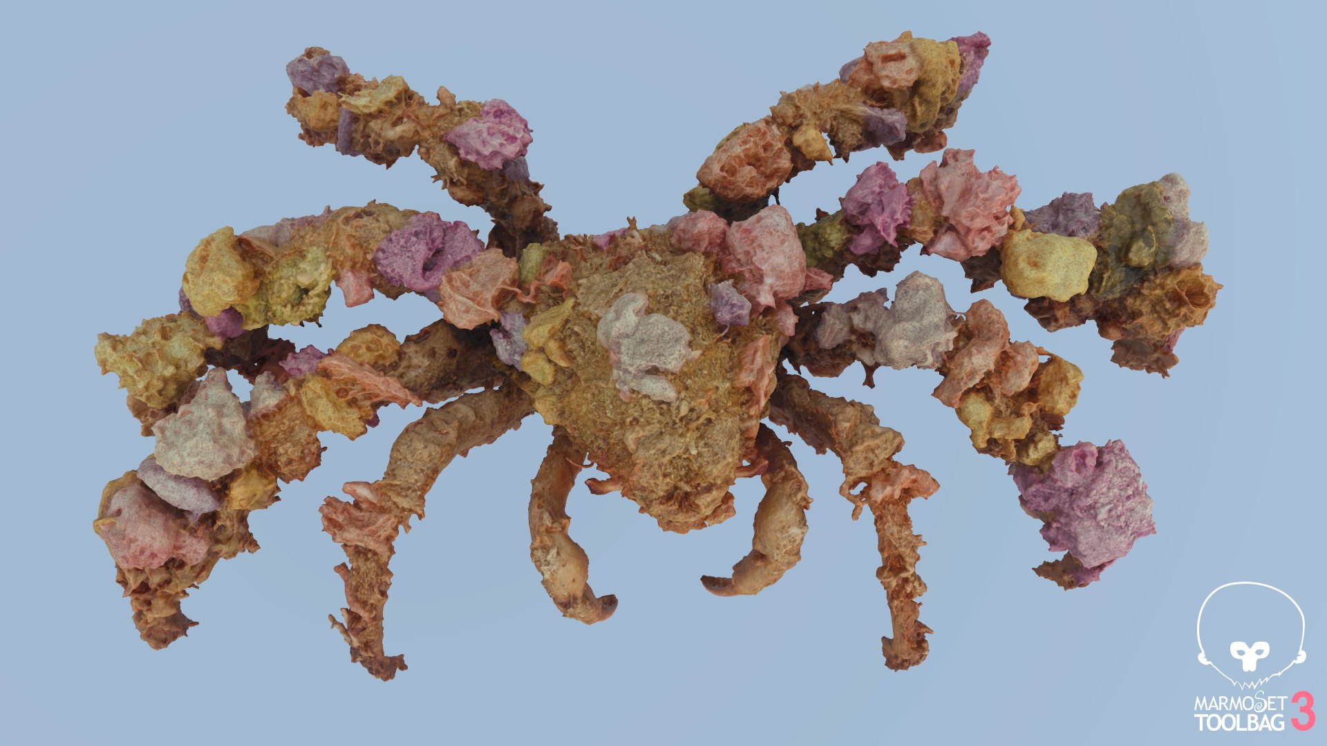 3D Spider Decorator Crab Scan - TurboSquid 1916522