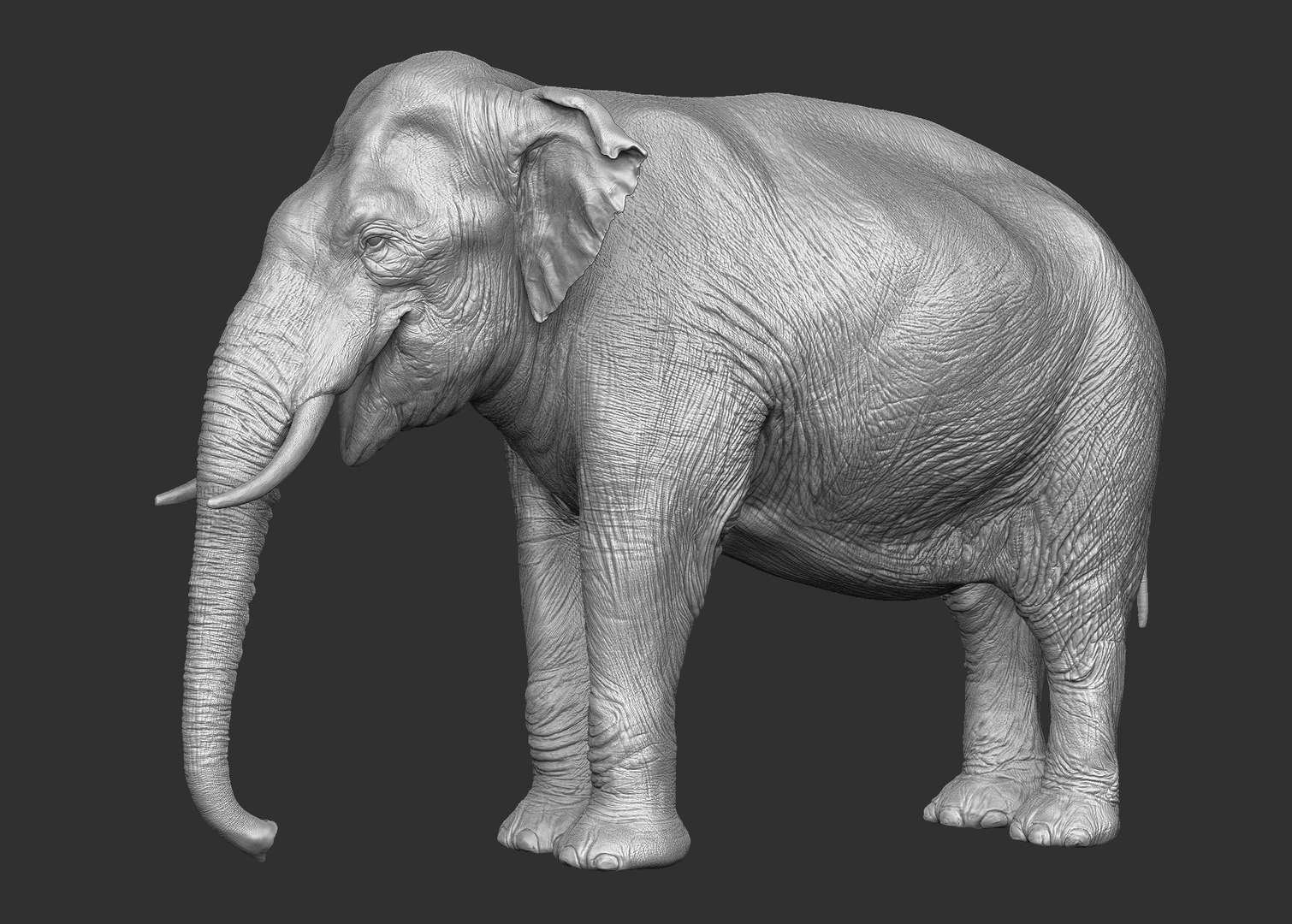 3D elephant asian - TurboSquid 1249618
