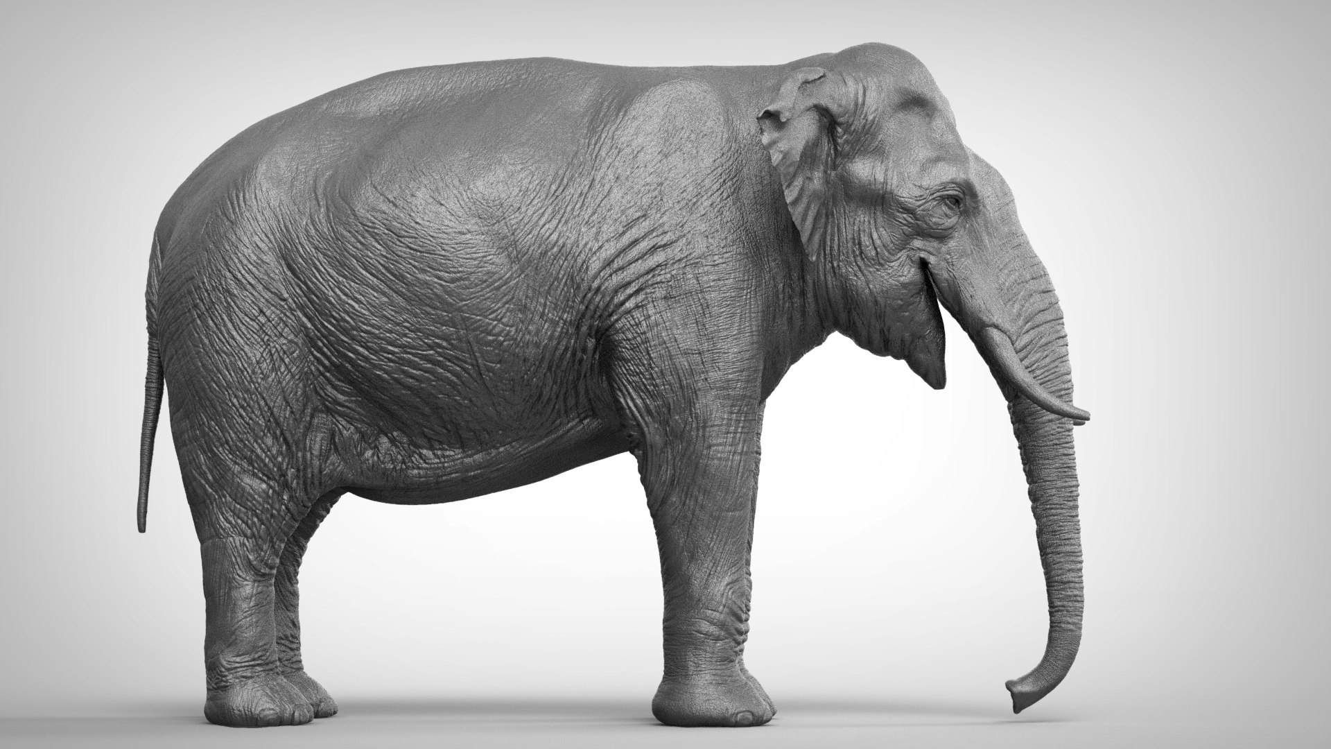 3D elephant asian - TurboSquid 1249618