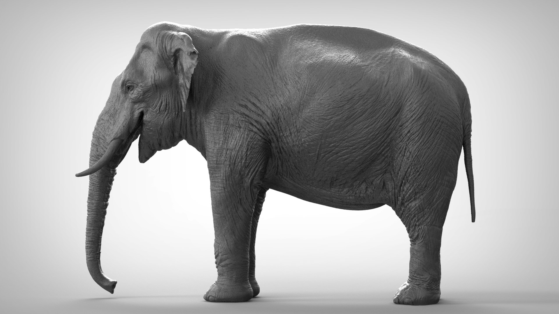 3D elephant asian - TurboSquid 1249618