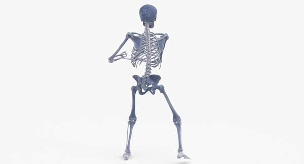 Real human female skeleton model - TurboSquid 1692341
