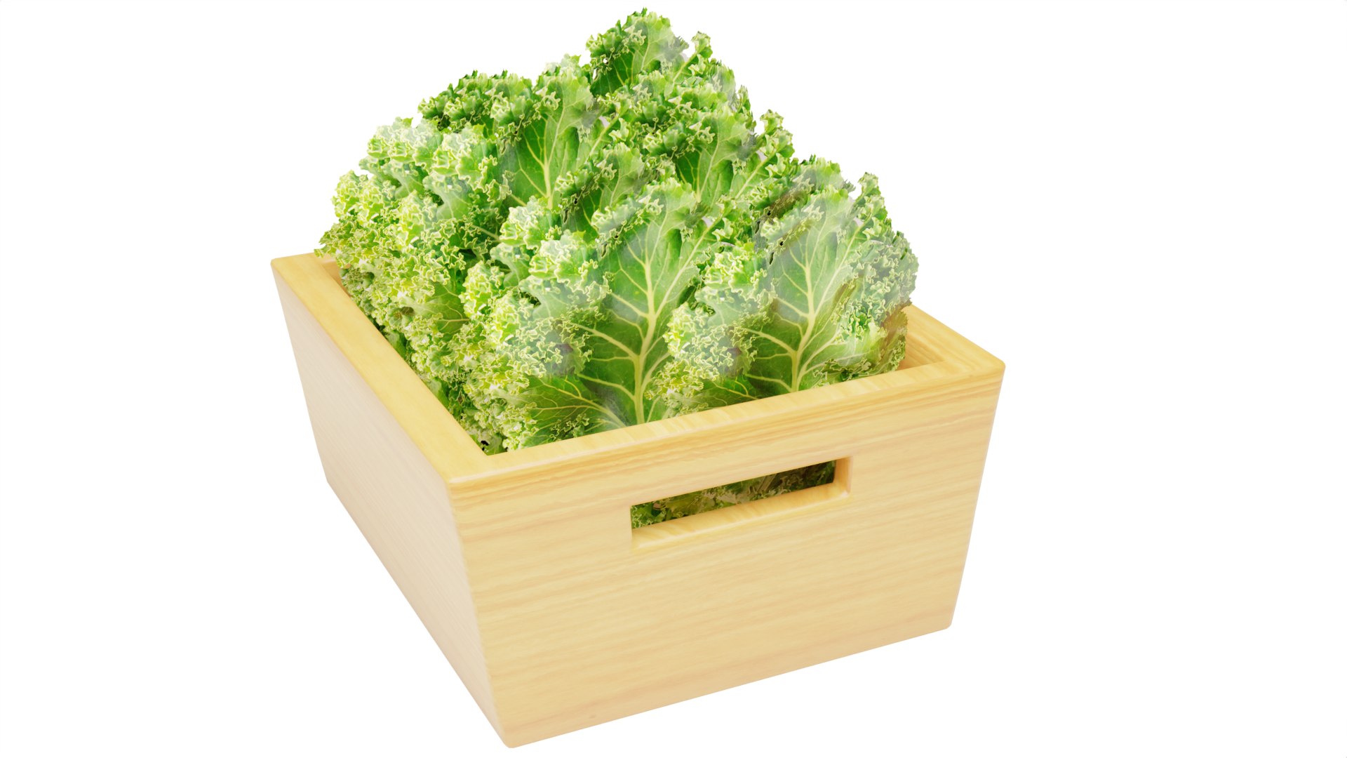 3D Kales In Box - TurboSquid 2171849