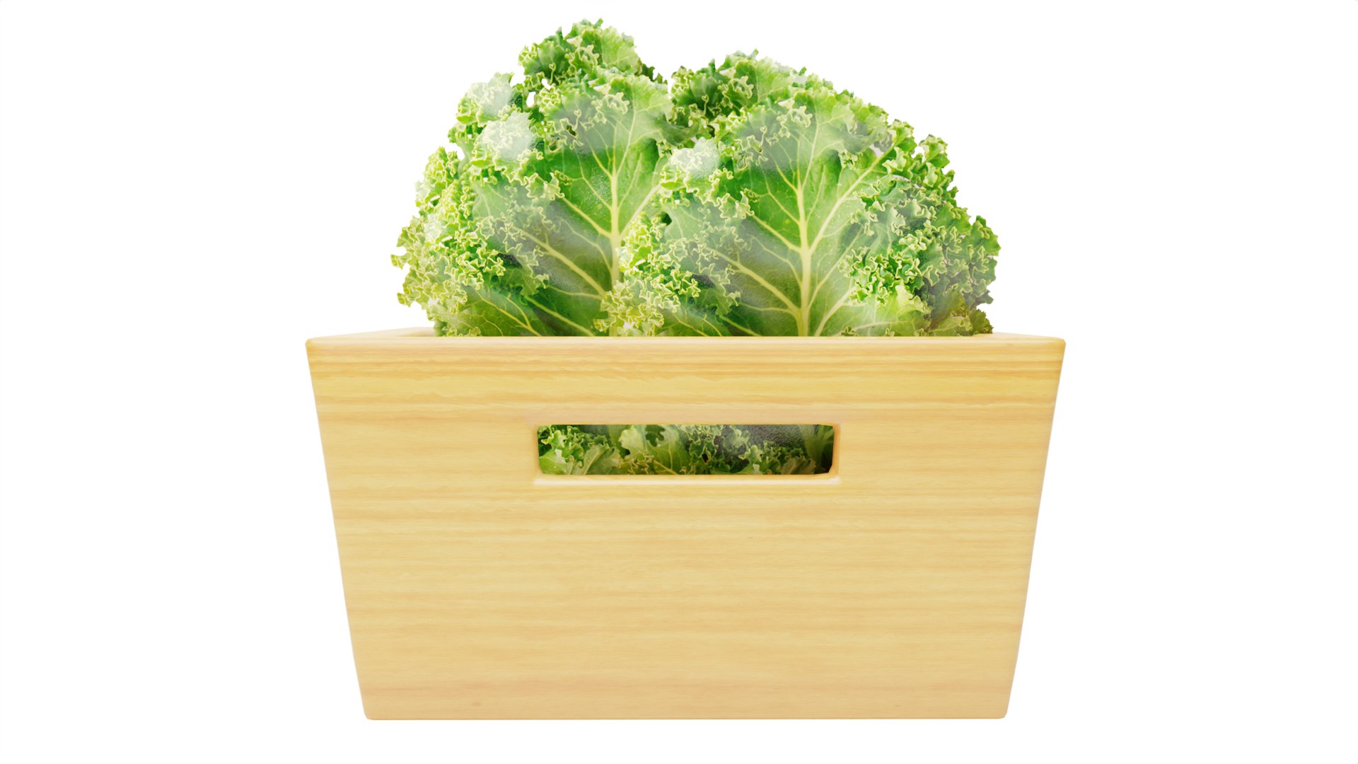 3D Kales In Box - TurboSquid 2171849