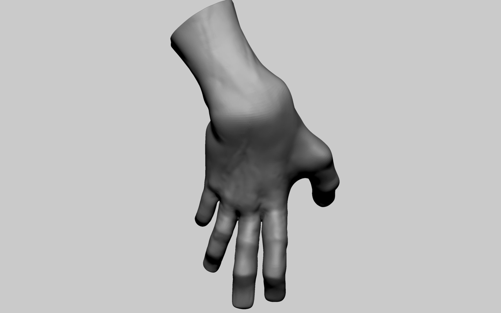 Hand Anatomy 3D - TurboSquid 1567431